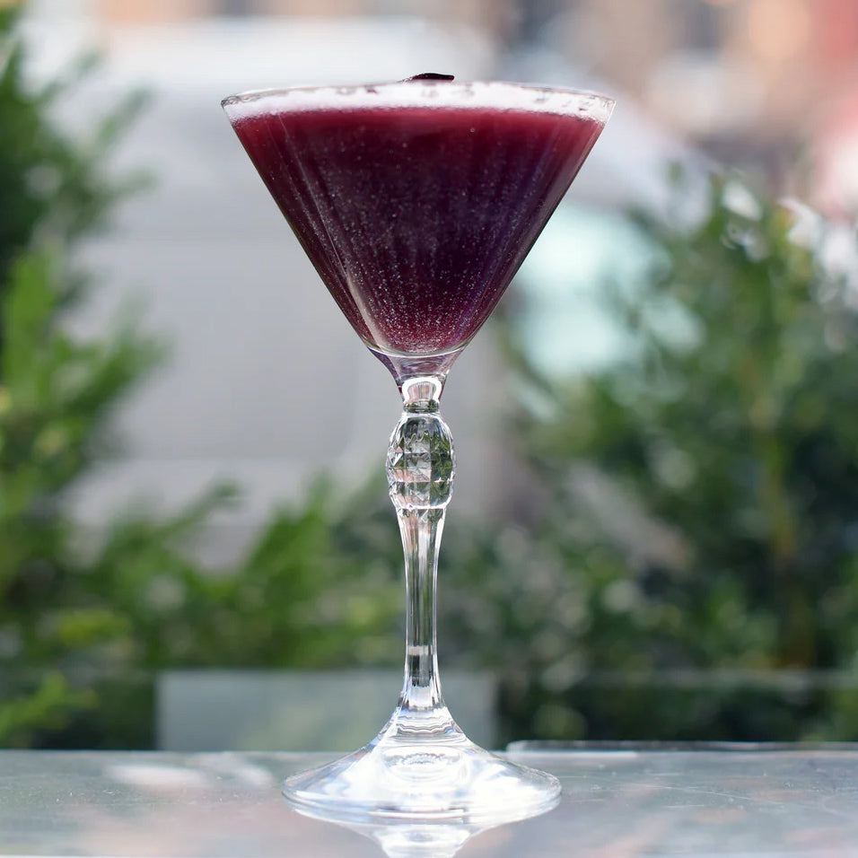 Jazz Martini Glass – Salt & Sundry